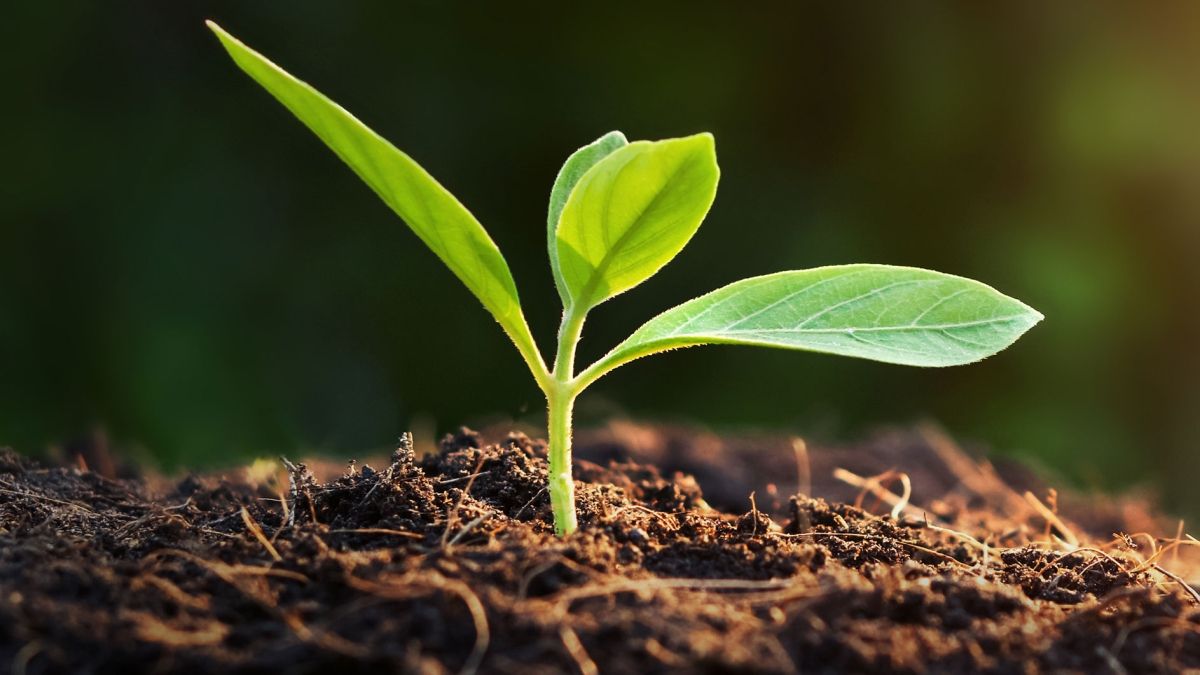 For cablex, acting sustainably is a matter of course. | cablex.